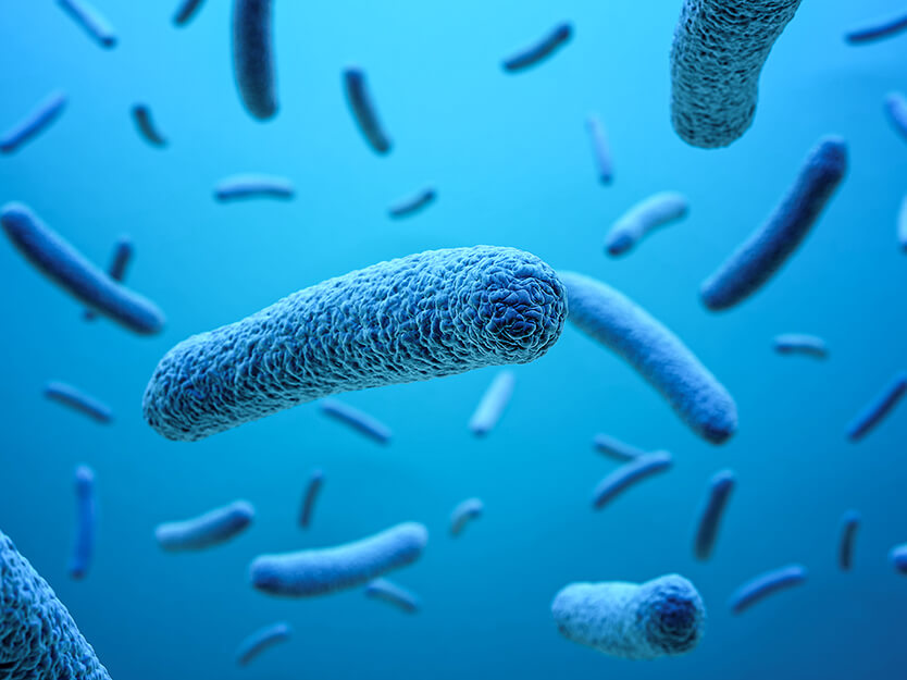 Farmacia en Línea con Envío Gratis a Domicilio | San Pablo Farmacia