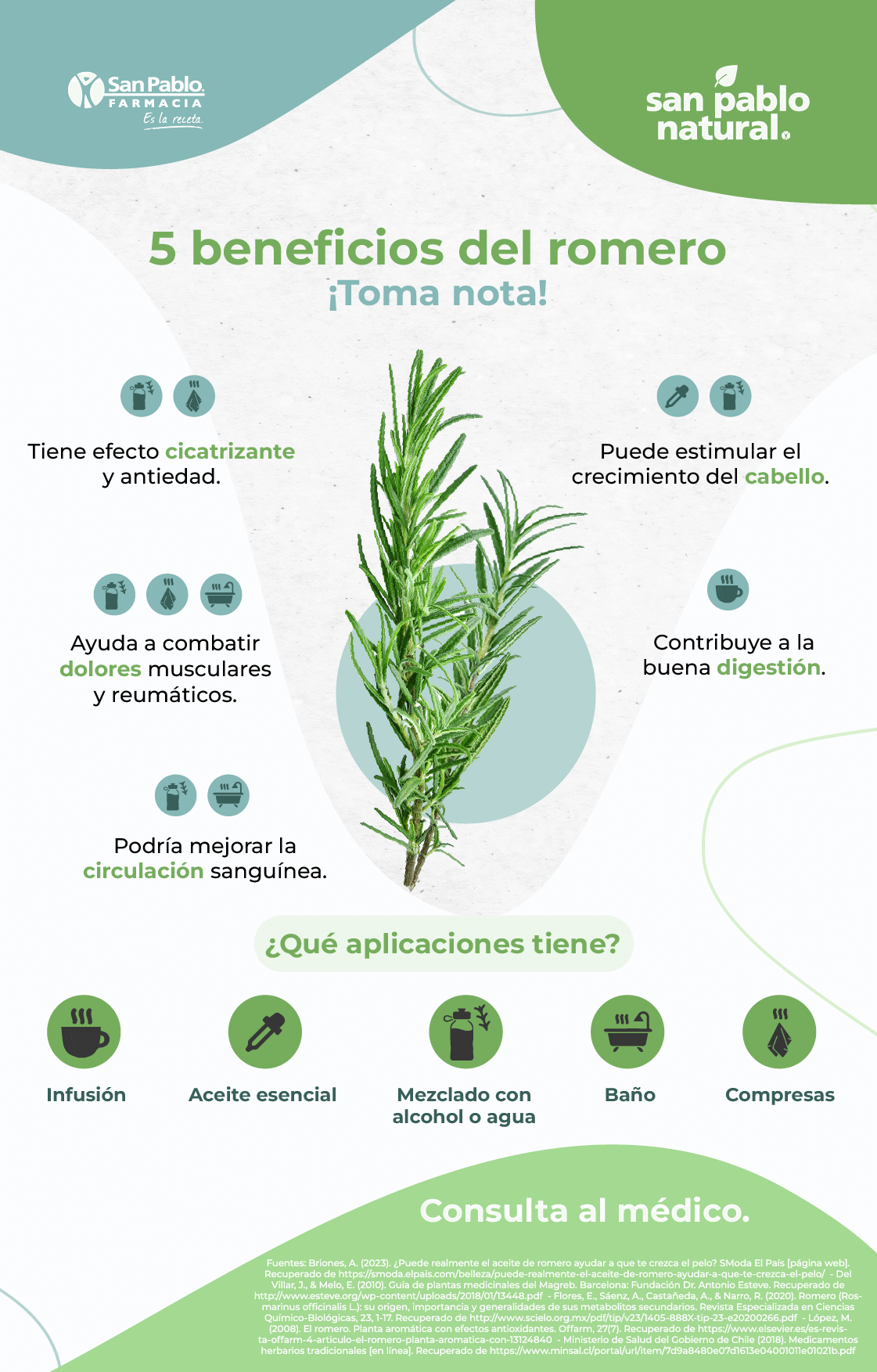 Que Es El Rosemary Infoupdate Que Es El Rosemary Infoupdate